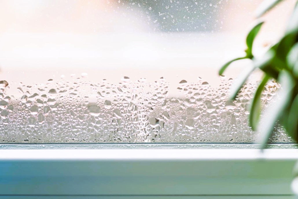 Window Condensation: Causes, Prevention, and Solutions – Just West